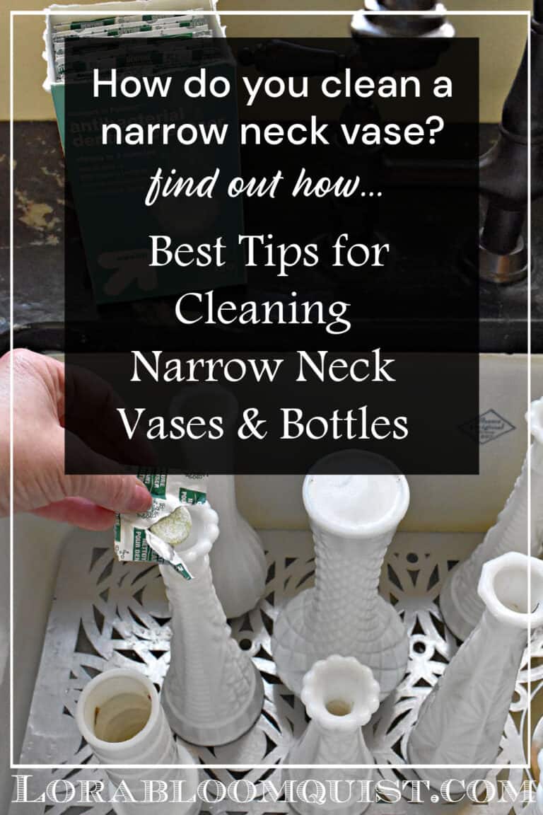 Best Tips to Clean Narrow Neck Vases & Bottles - Lora Bloomquist~Create ...