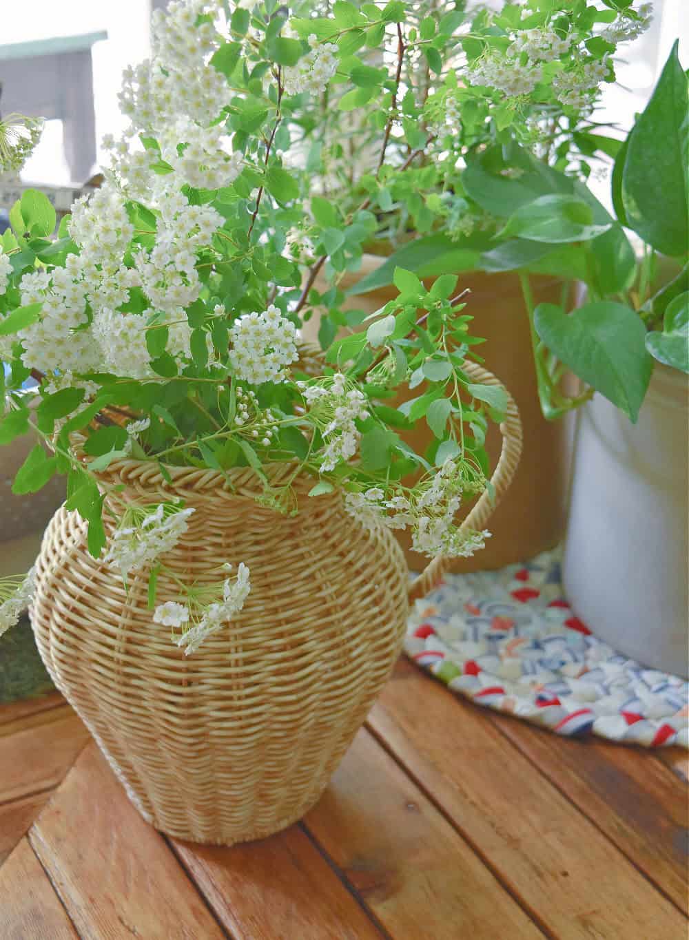 Simple Summer Coffee Table Vignette - Lora Bloomquist~Create & Ponder