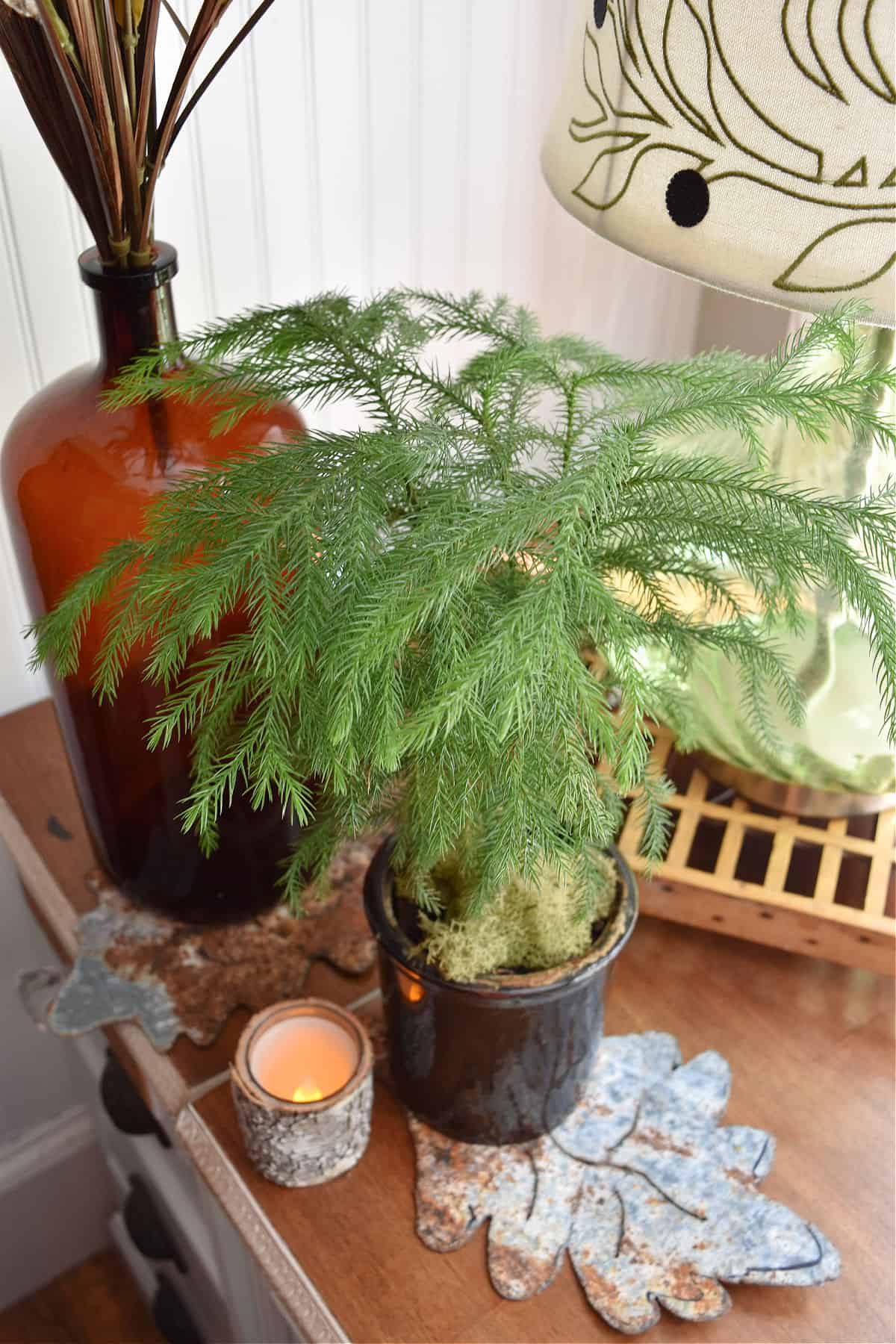 Decorating the Fall Mantel with a Vintage Door - Lora Bloomquist~Create ...