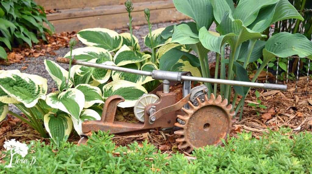 10 Easy Ways to Decorate with Vintage Garden Tools - Lora Bloomquist ...