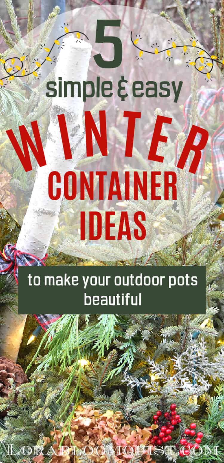 5 Ways to Make Your Outdoor Winter Containers Beautiful - Lora ...