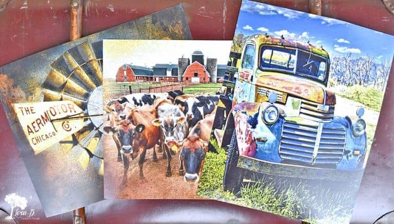 How to Easily Make a Decorating Theme Using Photo Prints - Lora ...