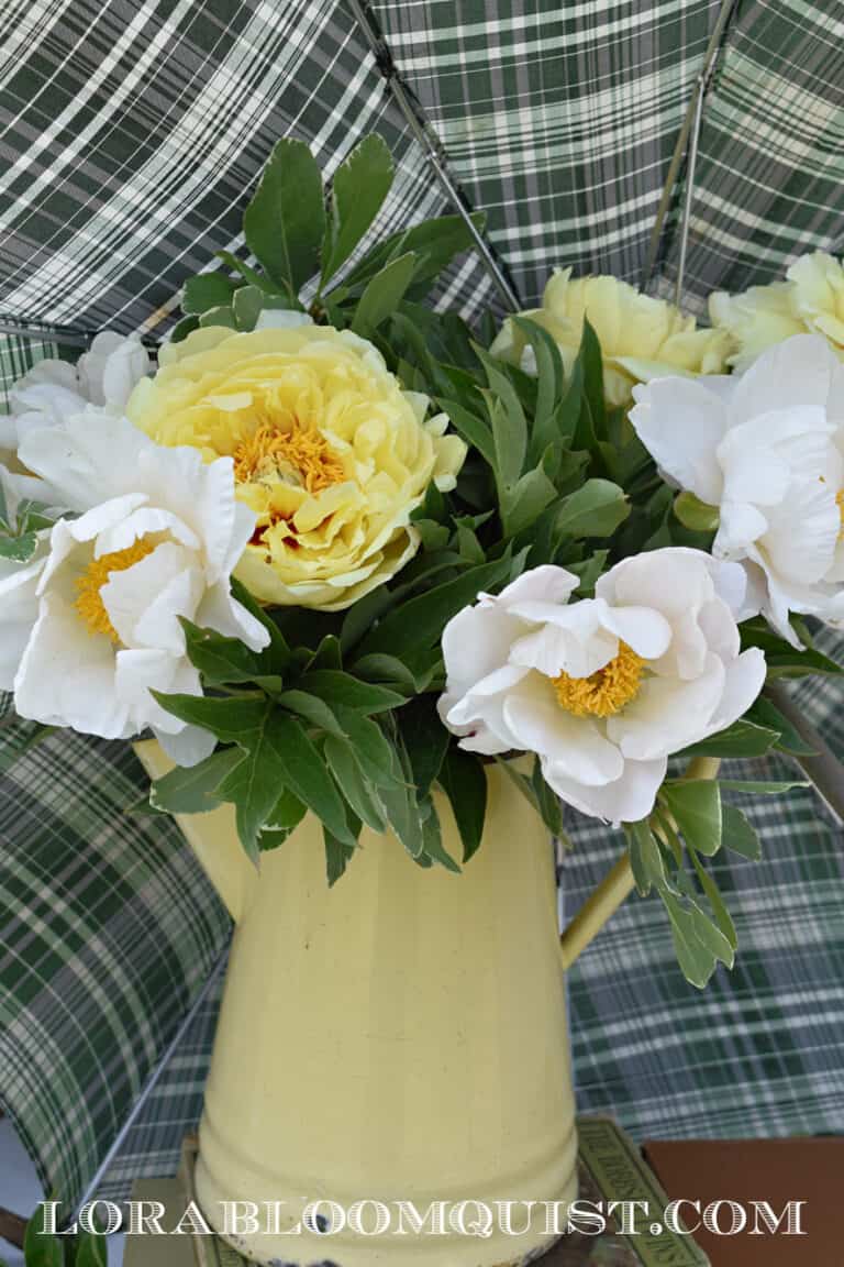 Pretty Peonies, Styled for Every Season - Lora Bloomquist~Create & Ponder