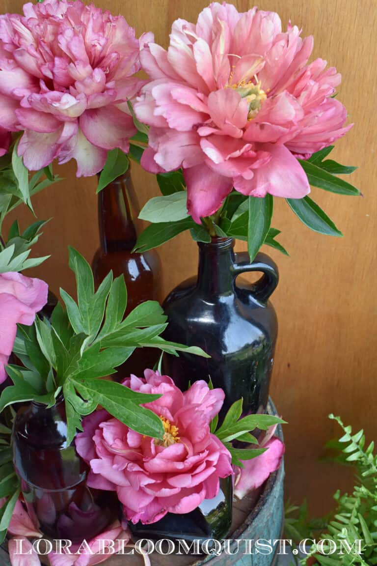 Pretty Peonies, Styled for Every Season - Lora Bloomquist~Create & Ponder